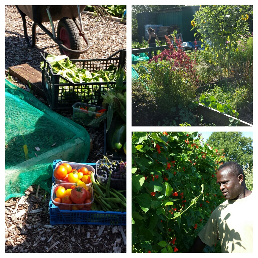 Our Members – Community Food Growers Network